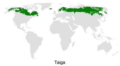 Ecología - La biosfera y los ecosistemas - La Taiga