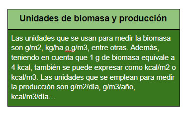 Pirámide De Biomasa Del Desierto