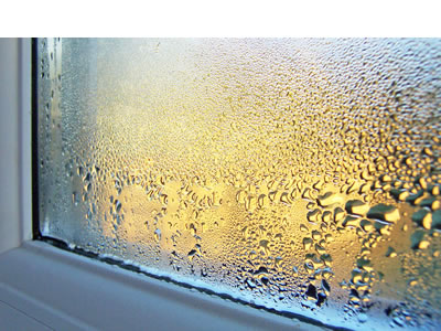 Estructura de la Materia - - Cambios de estado (sólido, líquido y gaseoso).