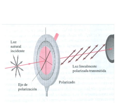 Optica - - Polarización de la luz
