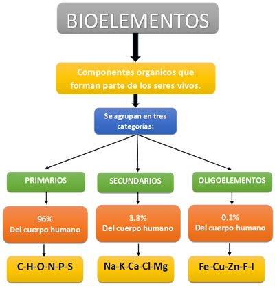 Química de los seres vivos - - Bioelementos
