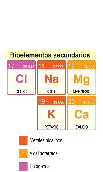 Química de los seres vivos - - Bioelementos