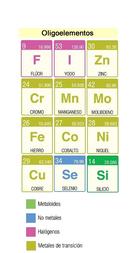 Química de los seres vivos - - Bioelementos