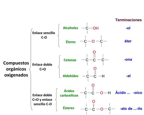 Química de los seres vivos - - Compuestos oxigenados