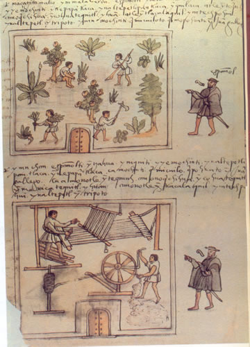 Historia Argentina - Organización política y social de las colonias ...